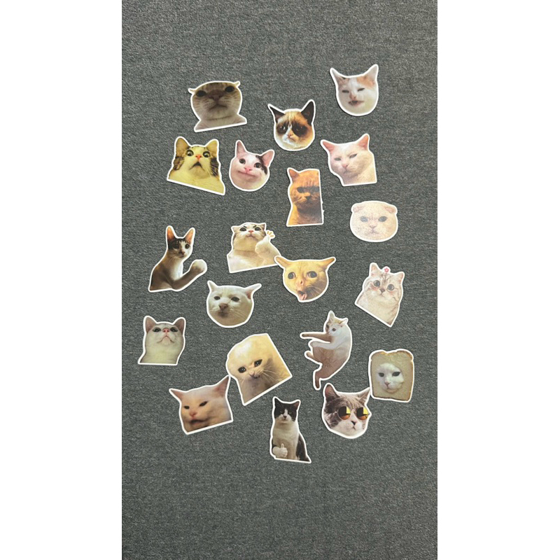 Jual Sticker Kucing 5 Pcs | Shopee Indonesia