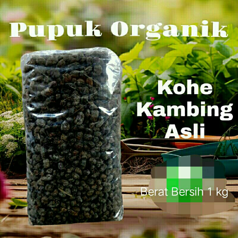 Jual Pupuk organik kohe kambing asli uk 1 kg | Shopee Indonesia