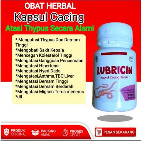 Jual LUBRICIN 20 KAPSUL - KAPSUL CACING // bukan Vermint 20 Kapsul ...