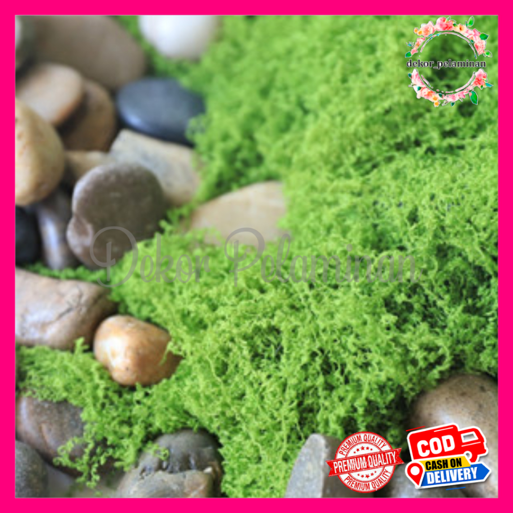 Jual LUMUT IMITASI DEKORASI UNTUK PENUTUP VAS BUNGA/LUMUT ARTIFICIAL ...