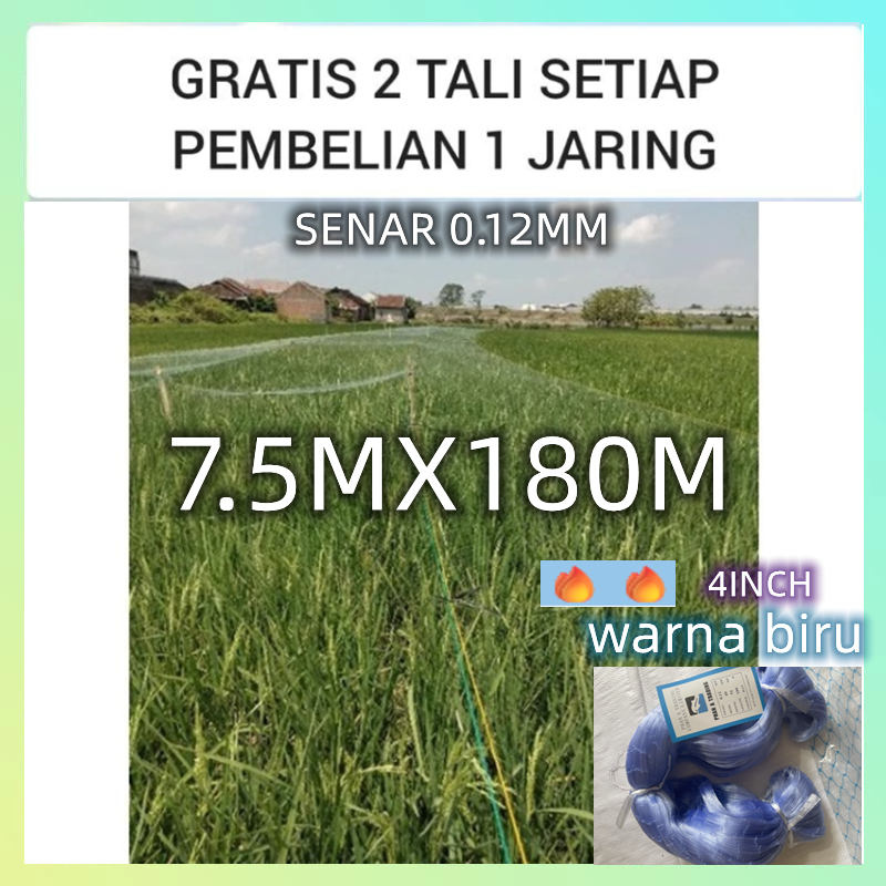 Jual Jaring burung, jaring padi sawah, warna biru jaring senar lubang 4 ...