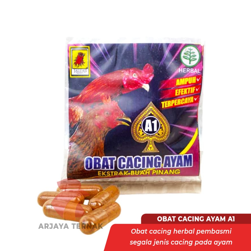 Jual Obat segala cacing untuk ayam ekstrak buah pinang A1 obat herbal ...