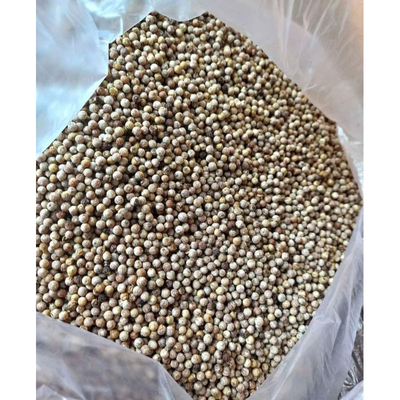 Jual lada ( merica bulat)super 1 kg | Shopee Indonesia