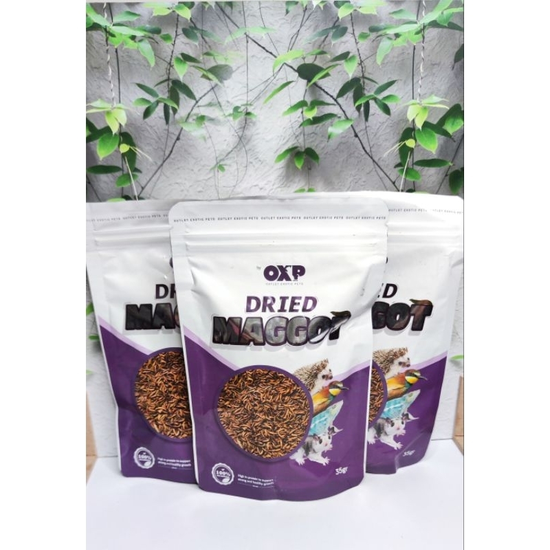 Jual Dried Maggot (Larva Kering) - Snack Hewan | Shopee Indonesia