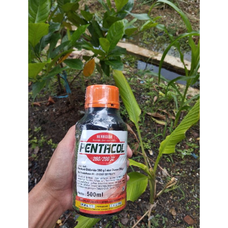 Jual Pentacol 280/200 SC 500 Ml - Herbisida Kontak dan Sitemik Pembasmi ...