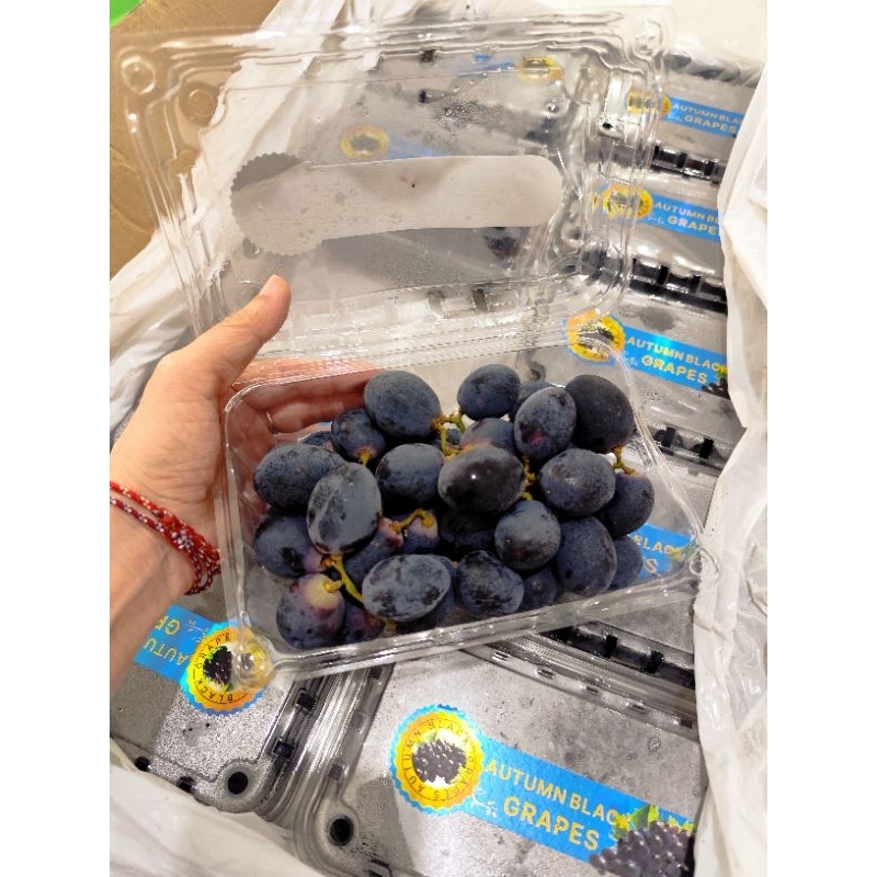 Jual Autumn Black Grapes /anggur Hitam | Shopee Indonesia