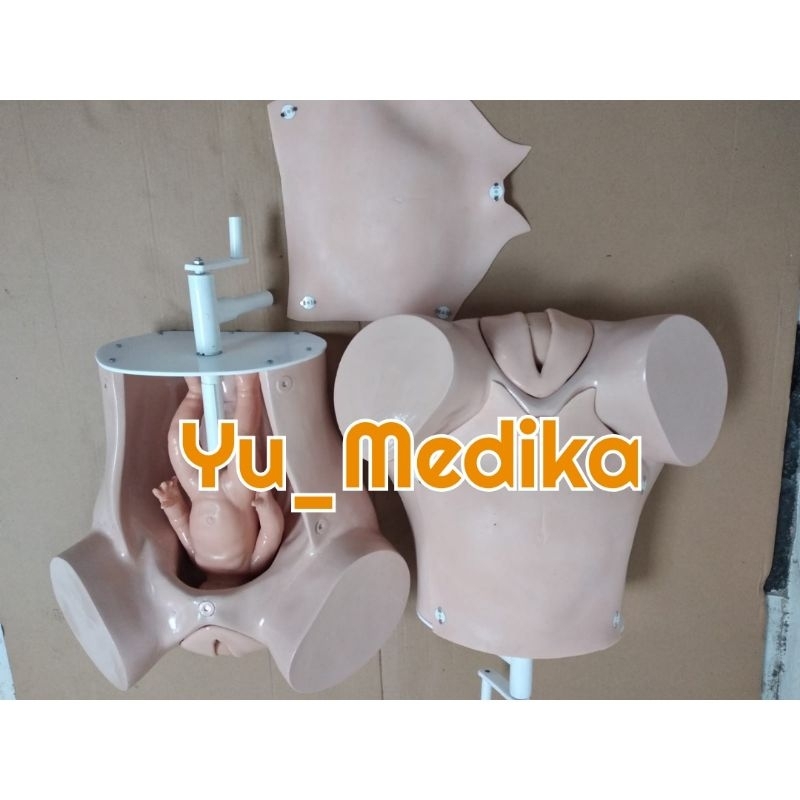 Jual Phantom Manikin Persalinan/Melahirkan Hidrolik Manual |Manekin ...