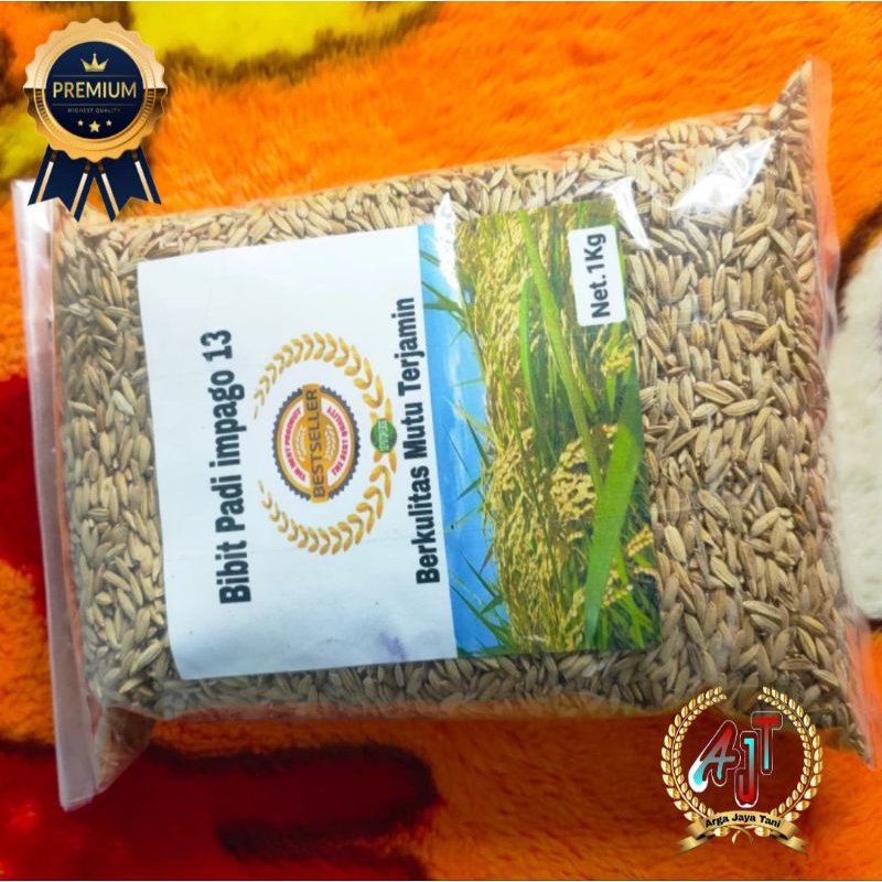 Jual BENIH PADI INPAGO 13 KEMASAN 1KG | Shopee Indonesia