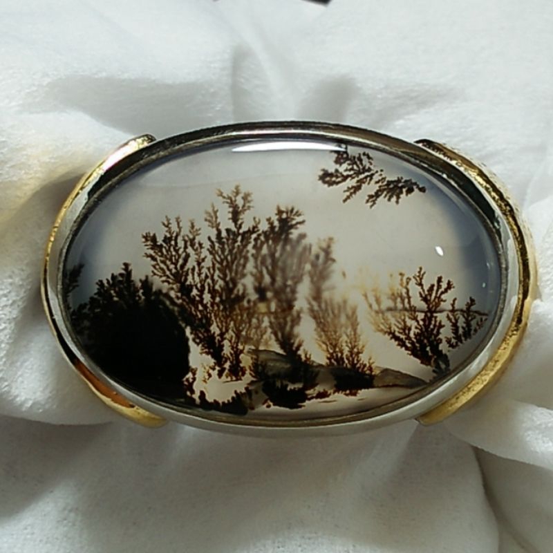 Jual Batu Dendrite Kristal Gambar Tumbuhan Aquascape. Bukan Batu Bacan ...