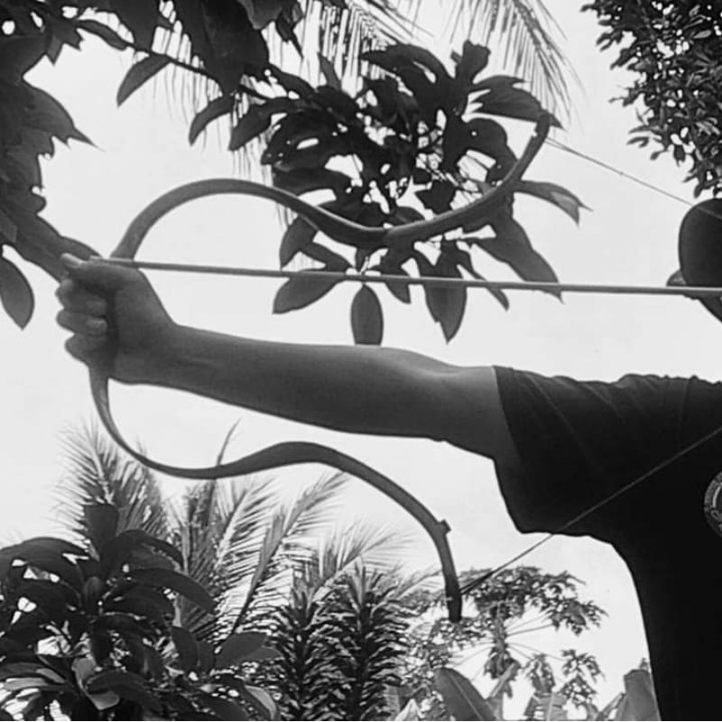 Jual Busur flat Mughal siyah laminasi | Shopee Indonesia