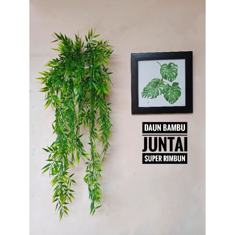 Jual Daun Bambu Juntai Super Rimbun (sudah dengan pot) | Shopee Indonesia