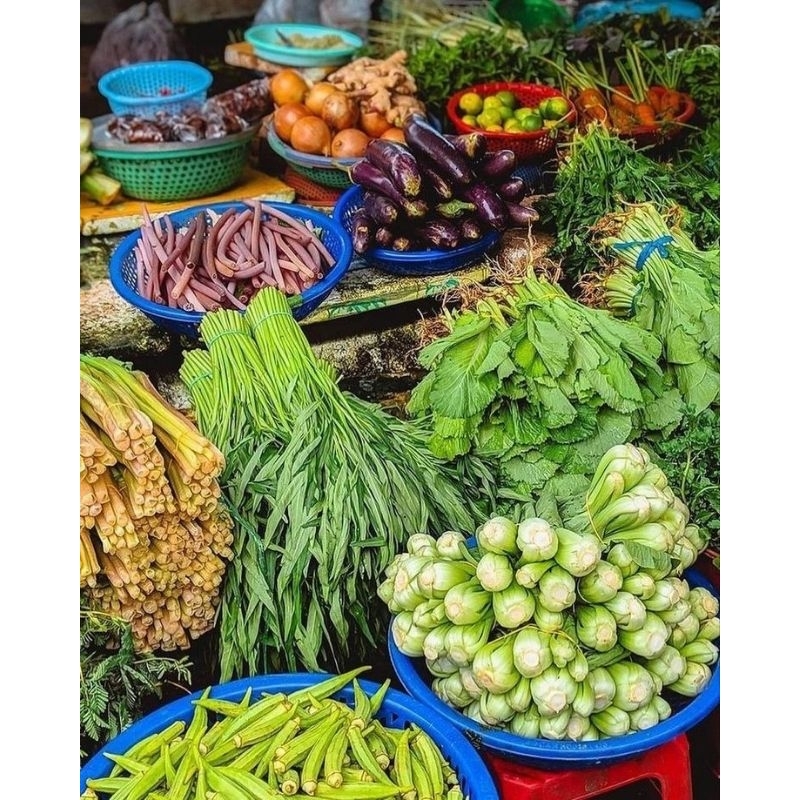 Jual SERBA SERBU( SERBA 3 RB) | Shopee Indonesia