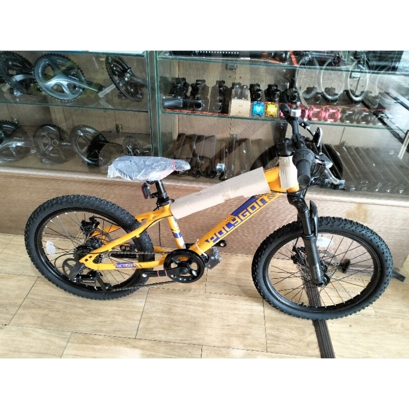 Jual Sepeda MTB Polygon Maze 20 inch | Shopee Indonesia