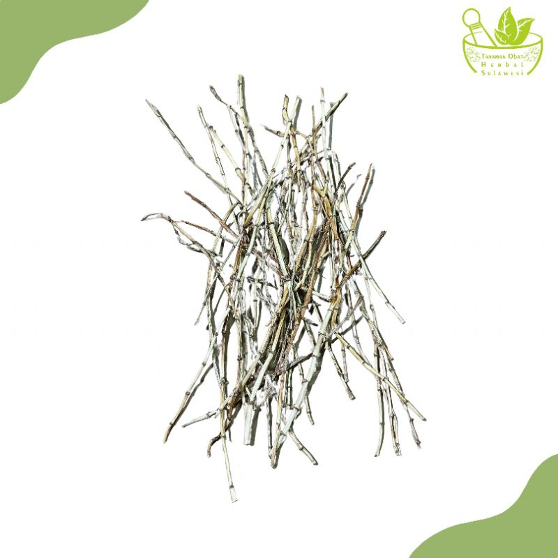 Jual FRESH Akar Alang Alang Kering (50 Gram) | Shopee Indonesia