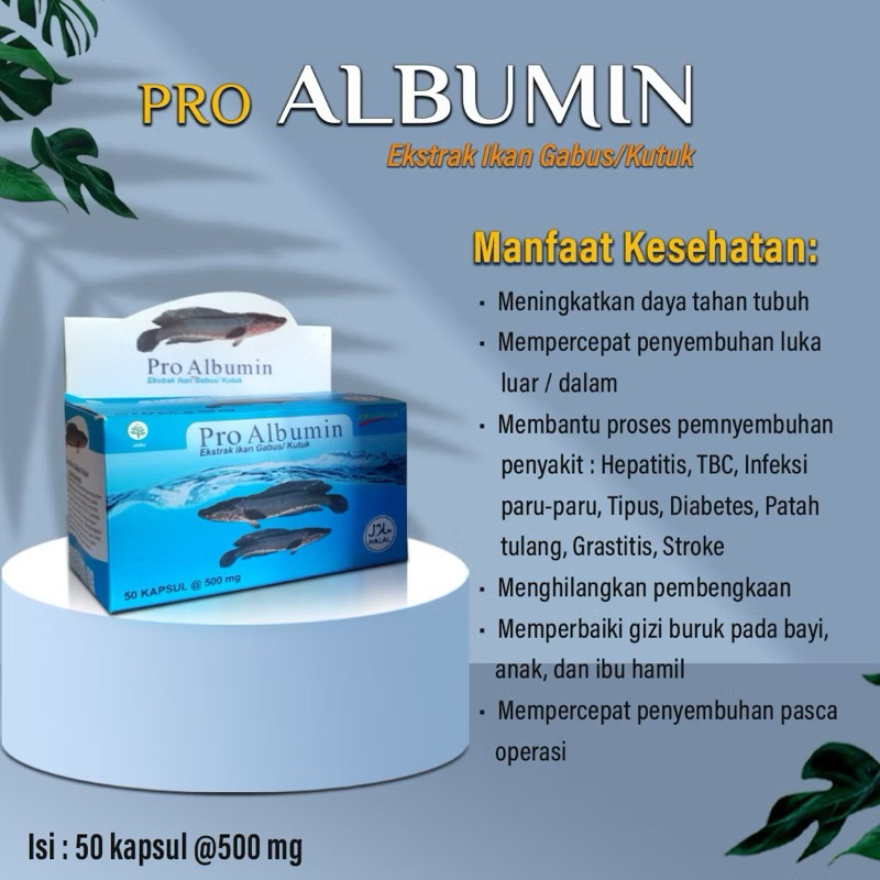 Jual Pro Albumin Ekstrak Ikan Gabus Obat Herbal Kutuk | Shopee Indonesia