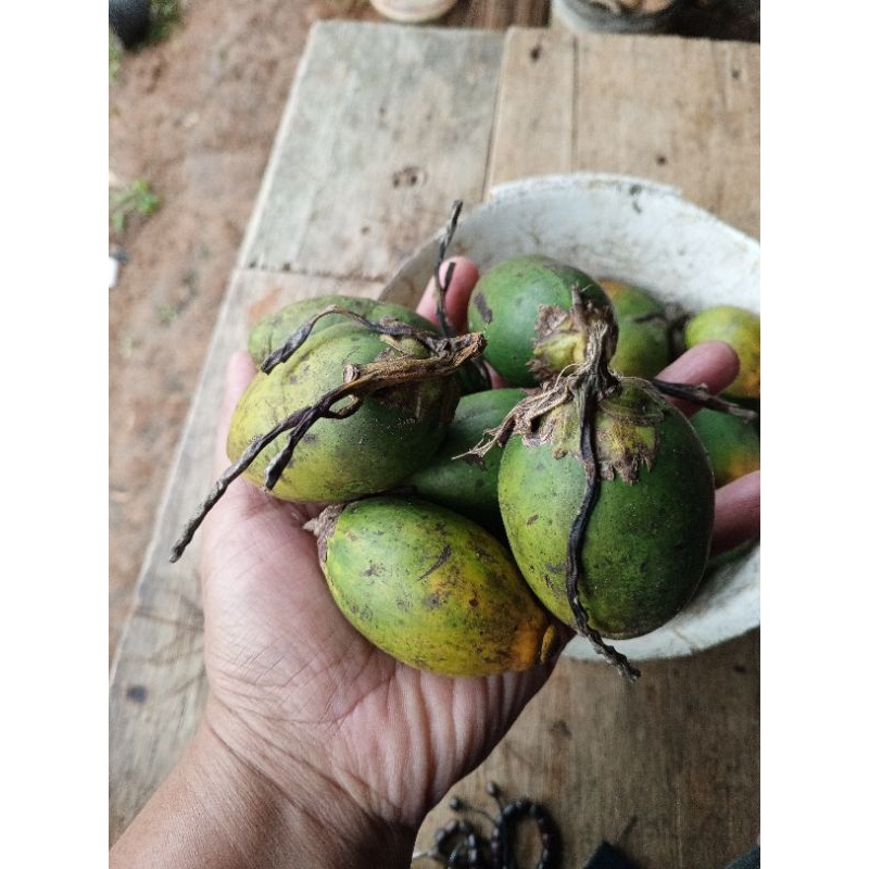 Jual Buah Pinang Tua super organik 1kg | Shopee Indonesia
