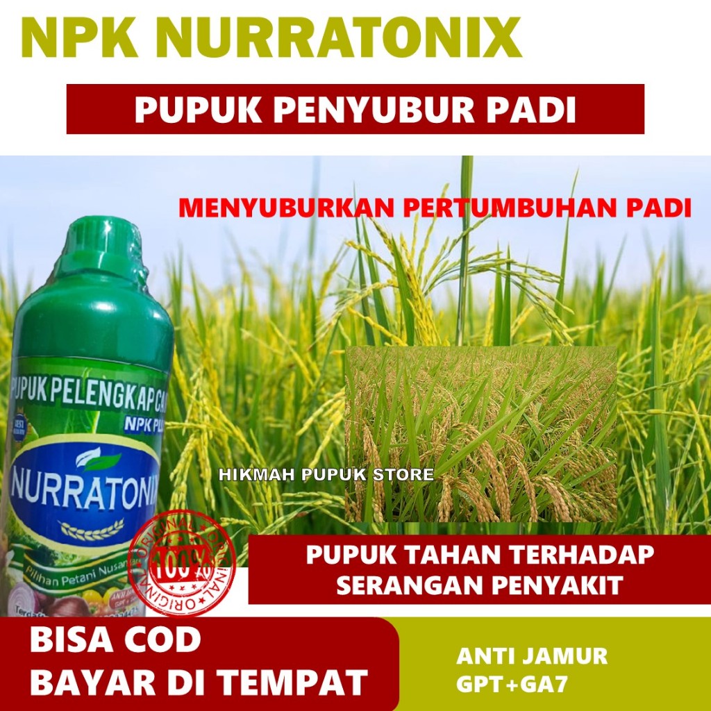 Jual PUPUK PENYUBUR NPK NURRATONIX PADA TANAMAN PADI - Obat Cair Organik Pada Padi Pupuk Npk ...
