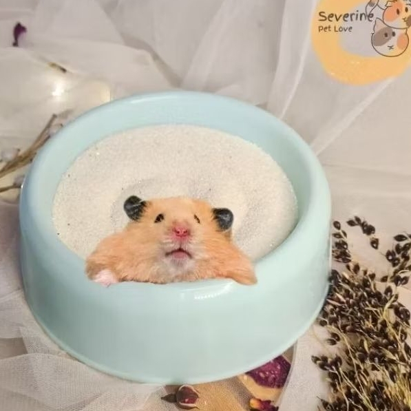 Jual Hamster Bathup Bulat | wadah pasir hamster | bak mandi hamster ...