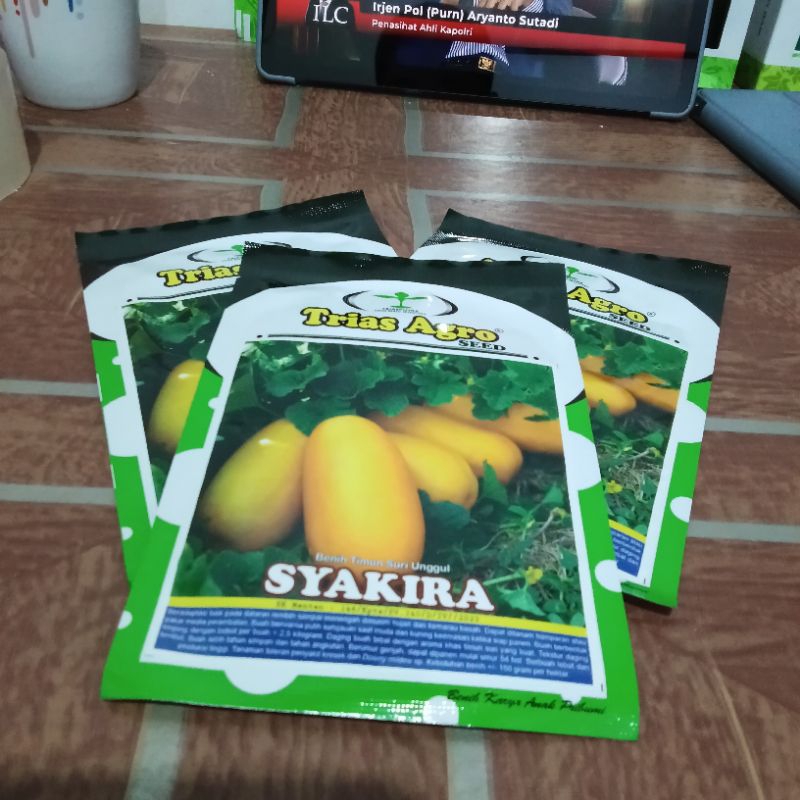 Jual Benih Buah Timun Suri Super Jumbo Syakira F1 (Perawatan Mudah, Tahan Virus dan Penyakit ...