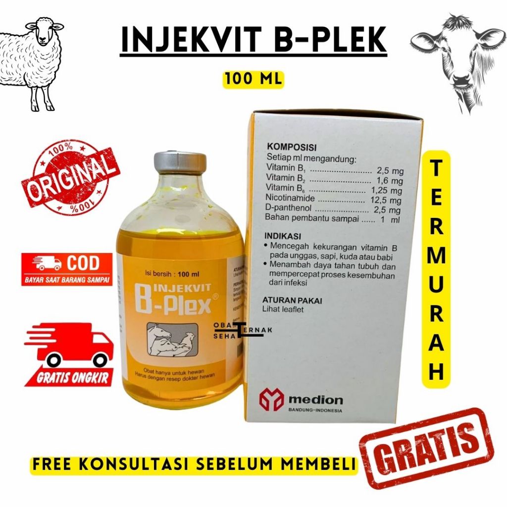 Jual INJEKVIT B PLEX 100ml (KUNING) - Vitamin B Complex B Kompleks ...
