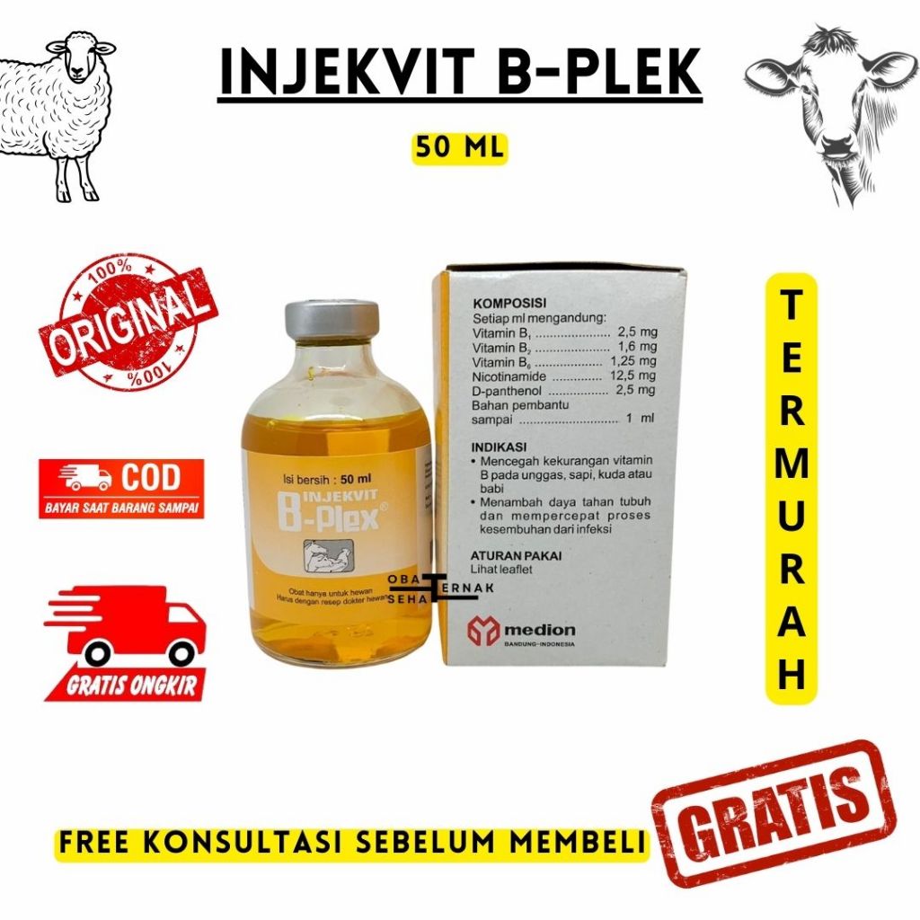 Jual INJEKVIT B PLEX 50ml (KUNING) - Vitamin B Complex B Kompleks ...