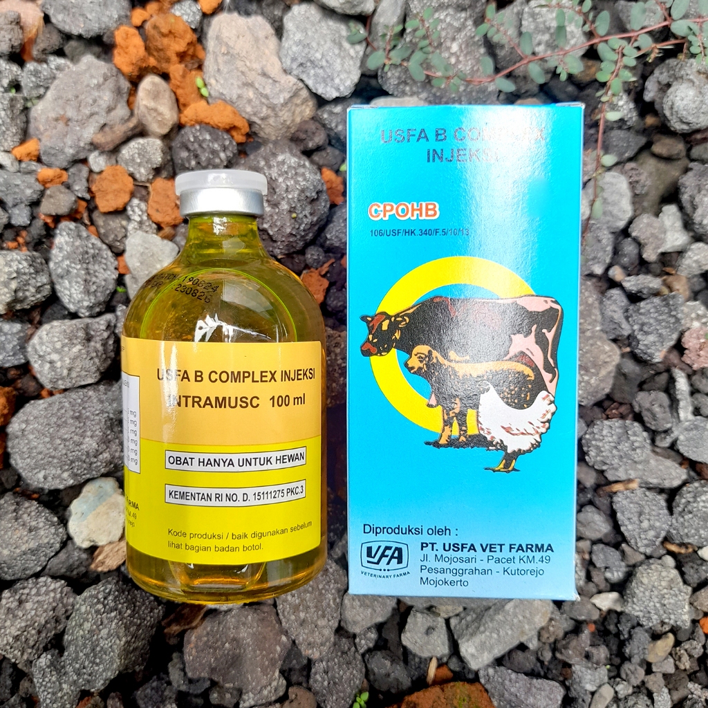 Jual USFA B COMPLEX INJEKSI 100 ML- VITAMIN B KOMPLEKS 100 ML HEWAN ...