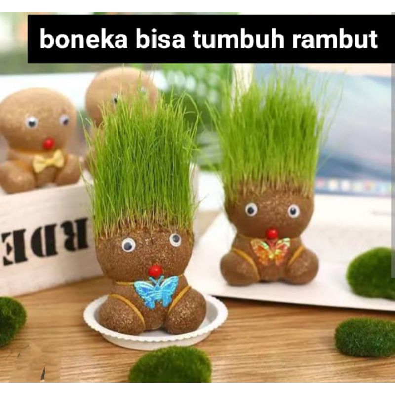 Jual souvenir bisa tumbuh rumput/grass doll/boneka Horta/alat kerajinan ...