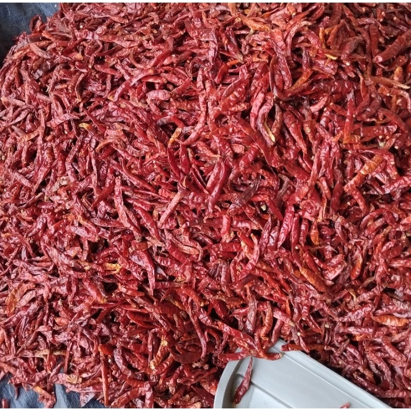 Jual Cabe kering teja/ Cabe japlak kering tanpa tangkai 500 g (1/2kg ...