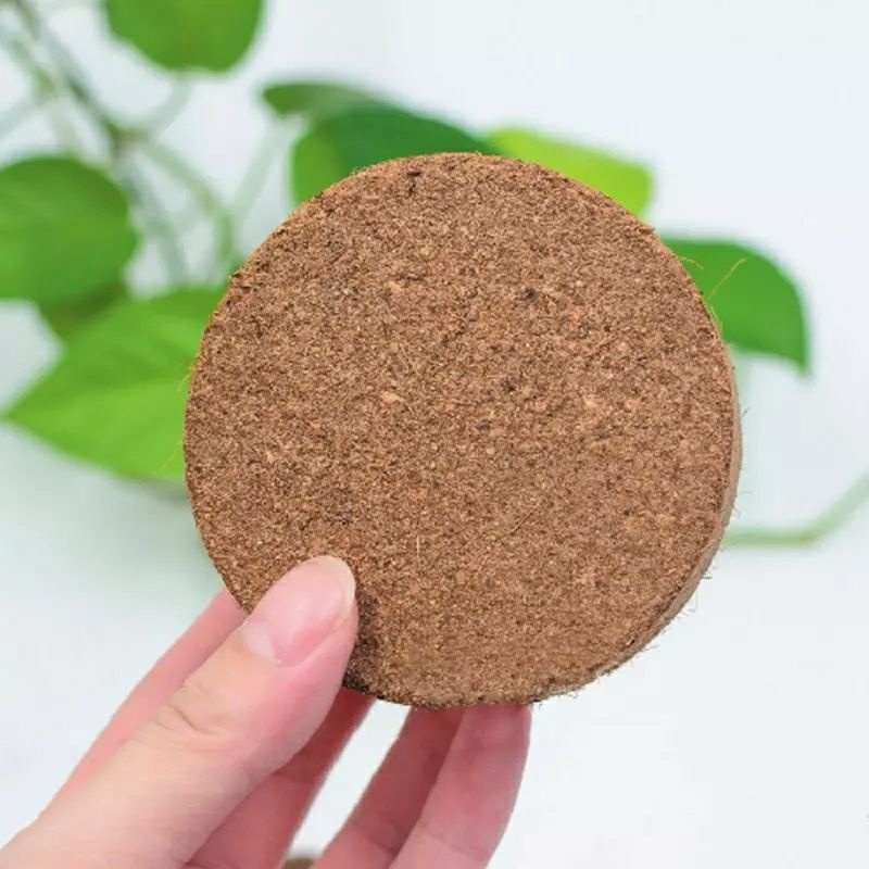 Jual Paket Coco Peat Media Tanam Block Press Sabut Serabut Kelapa Semai ...