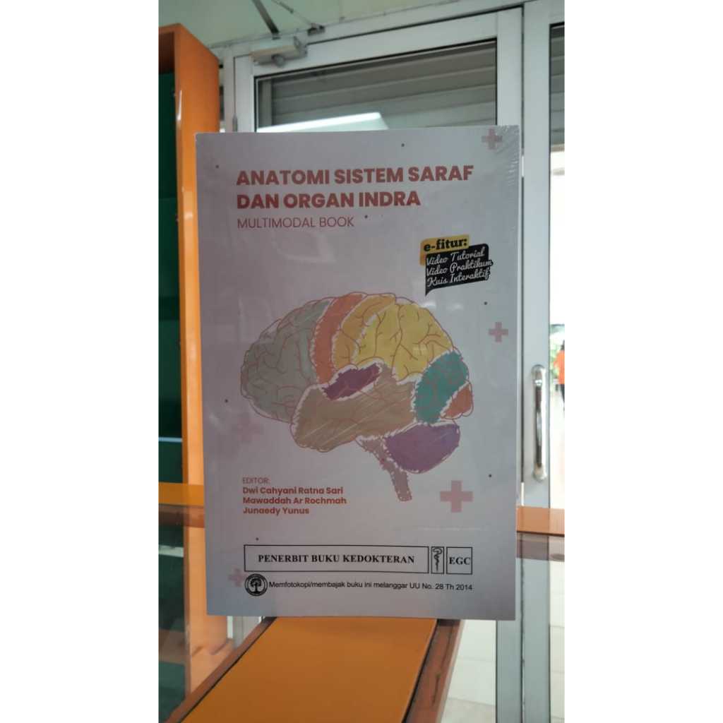 Jual Anatomi Sistem Saraf dan Organ Indra: Multimodal Book Dwi Cahyani ...