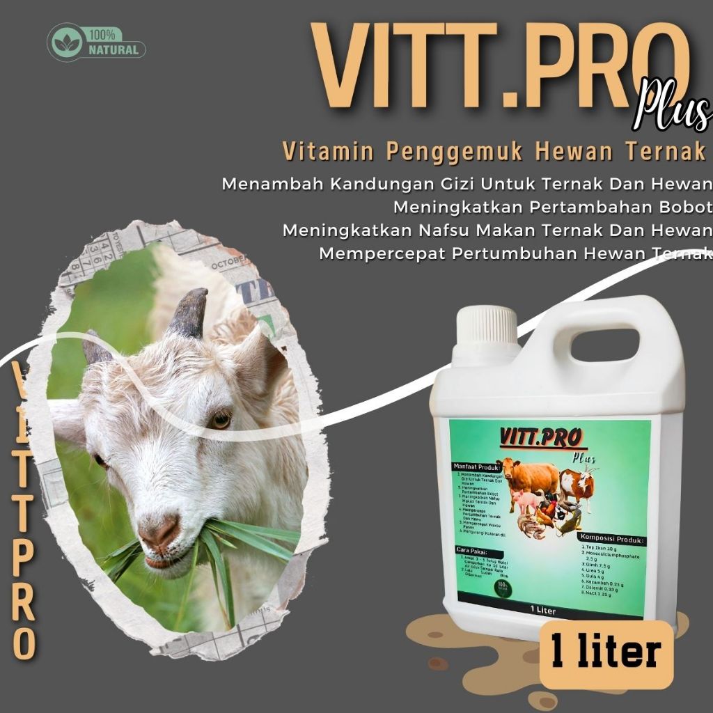 Jual Vitamin Kambing Cepat Besar | Penggemuk Aman | Nafsu Makan Naik ...