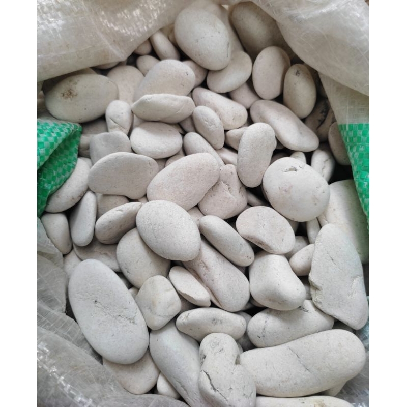 Jual BATU KORAL PUTIH 1 KG | Shopee Indonesia