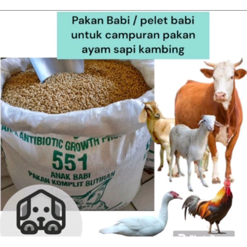 Jual Hi gro 551 Pur Pellet Babi Starter Pur Pakan Hewan Ternak 1 kilo ...