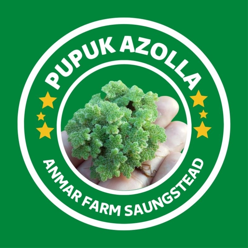 Jual Pupuk Azolla untuk Nutrisi pertumbuhan tinggi unsur Nitrogen ...