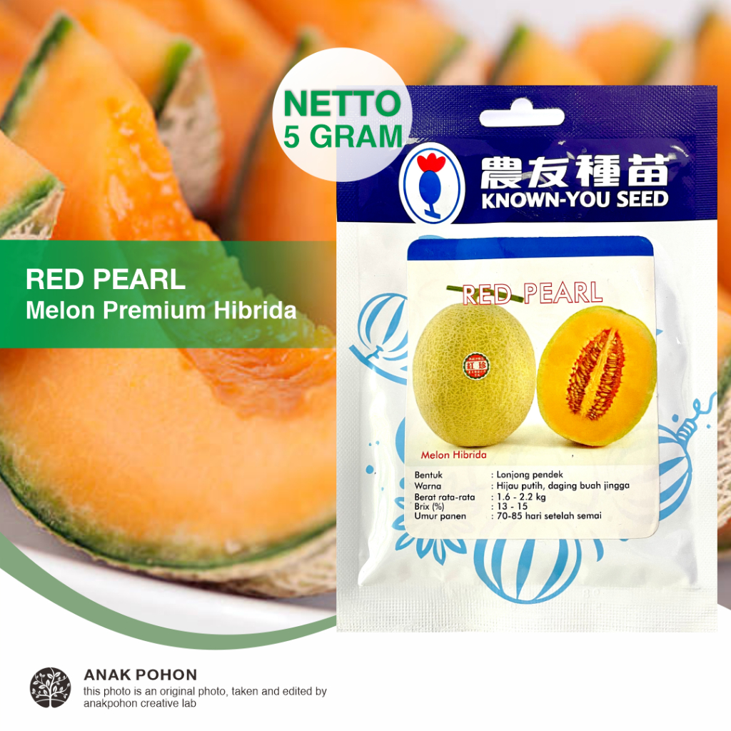 Jual (1 PACK - 5 GRAM) Benih Melon Premium Red Pearl F1 Hibrida Seeds ...