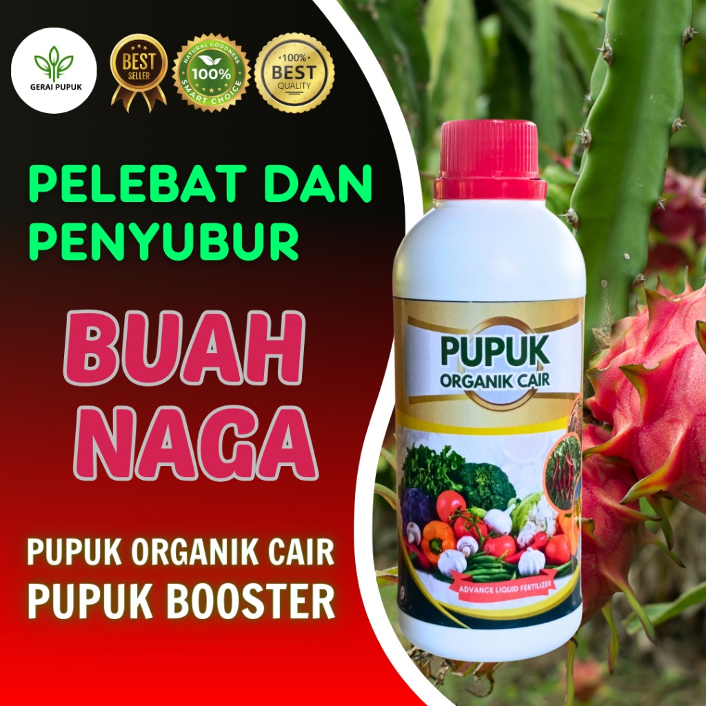 Jual Pupuk Organik Cair 100% Booster Pelebat Buah Naga | Penyubur Tanaman agar Cepat Berbuah ...