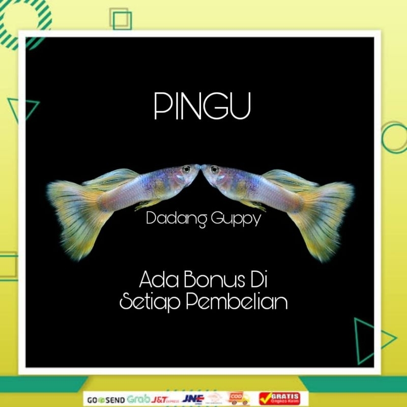 Jual Packing Styrofoam ( Yellow Pingu ) | Shopee Indonesia