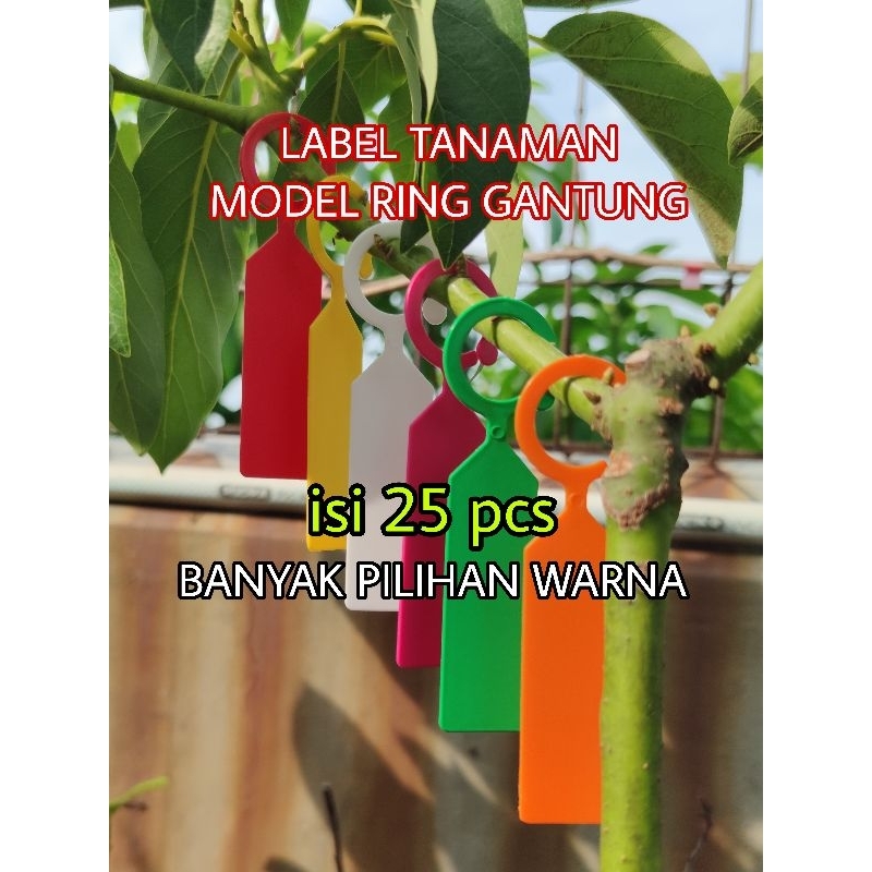 Jual 25 PCS LABEL TANAMAN MODEL RING GANTUNG BAHAN PLASTIK PP ANTI AIR ...