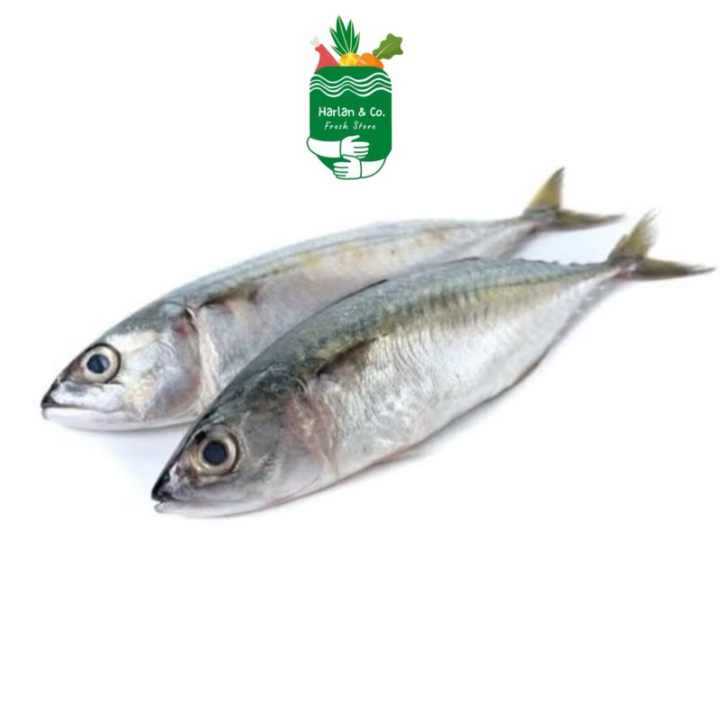 Jual ikan kembung banjar 1 kg | Shopee Indonesia