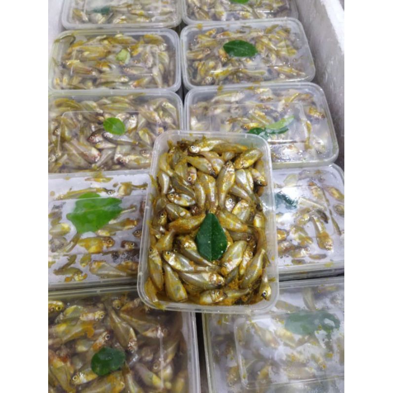 Jual ikan wader marinasi (sudah di bumbu kuning tinggal di goreng ...