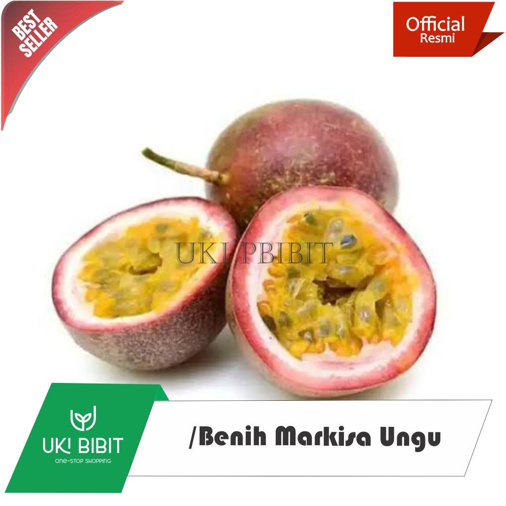 Jual ( 10 Butir ) Benih Biji Markisa Ungu | Passiflora Edulis Var. Edulis | Shopee Indonesia