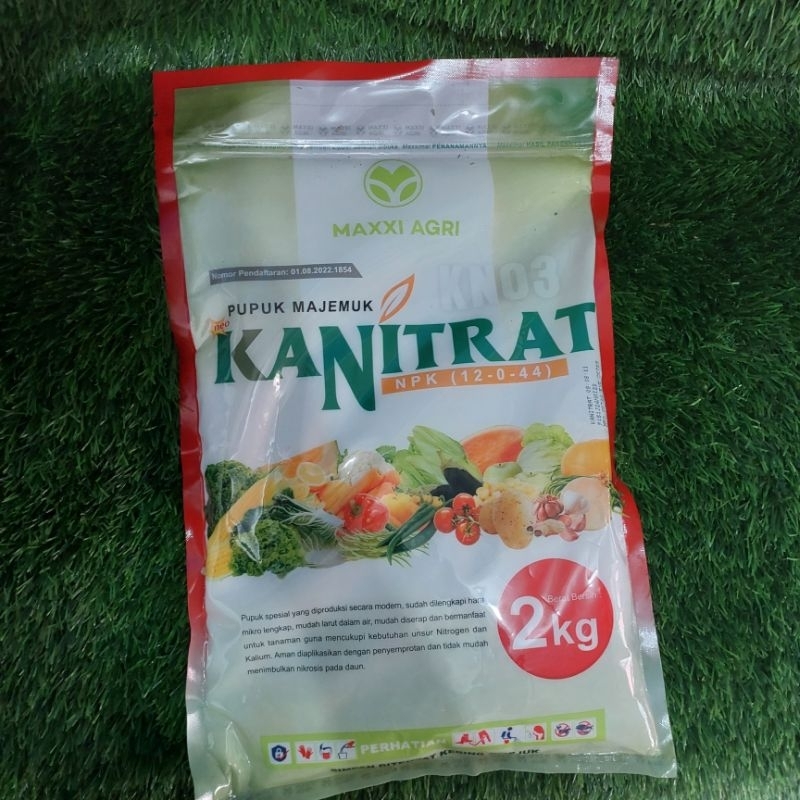 Jual PUPUK MAJEMUK KNO3 KANITRAT 2 KG NPK (12-0-44) KNO PUTIH KRISTAL ...