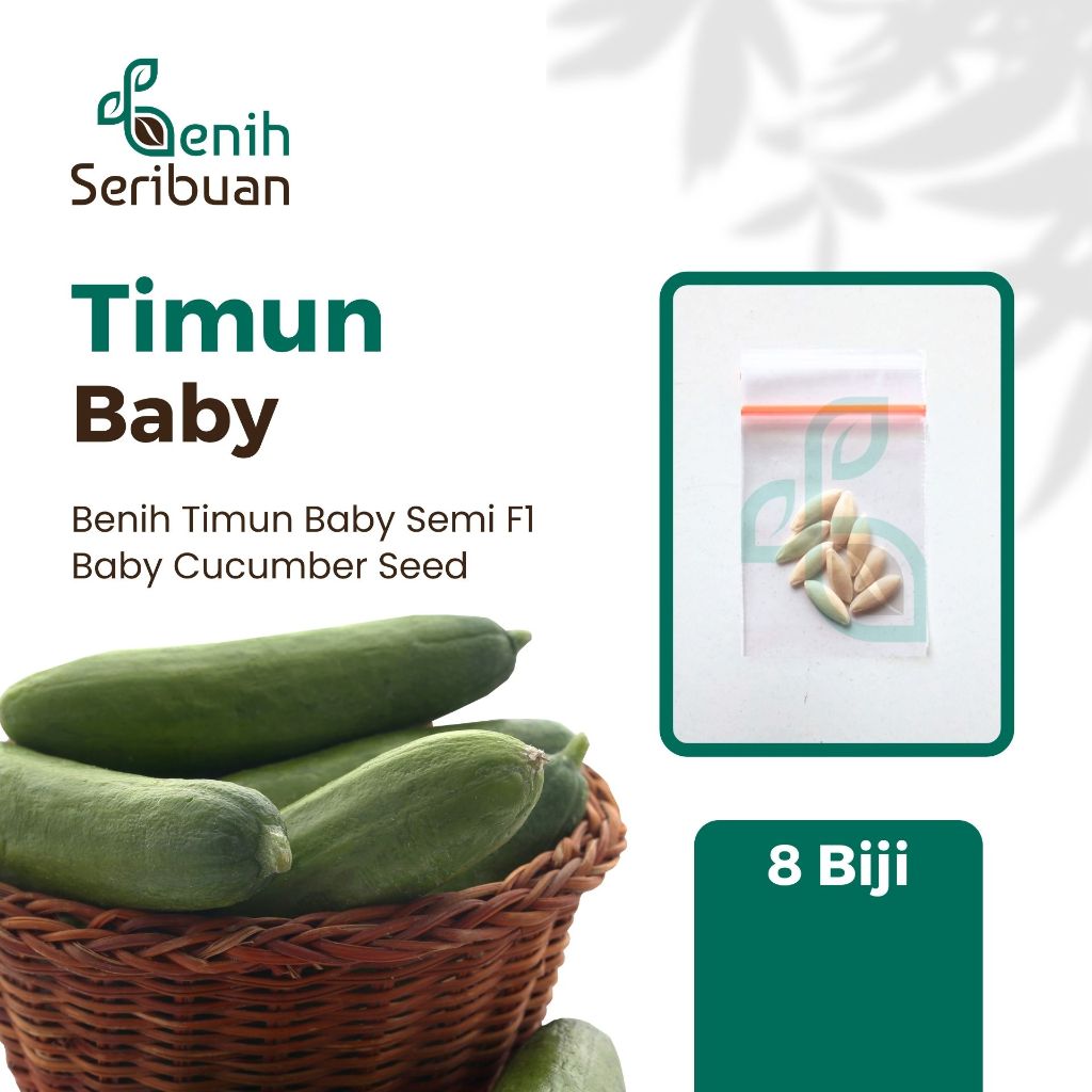 Jual Benih Seribuan - 8 Benih Timun Baby Unggulan | Shopee Indonesia