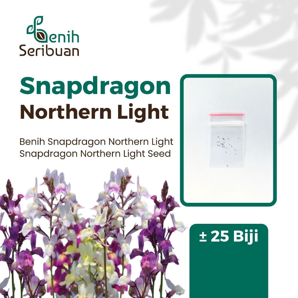 Jual Benih Bunga Snapdragon Northern Light untuk Pertanian Rumahan - 25 ...