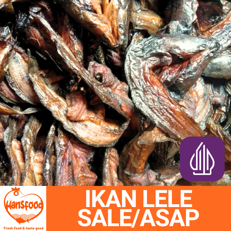 Jual IKAN SALE / IKAN LELE SALE / IKAN ASAP | Shopee Indonesia