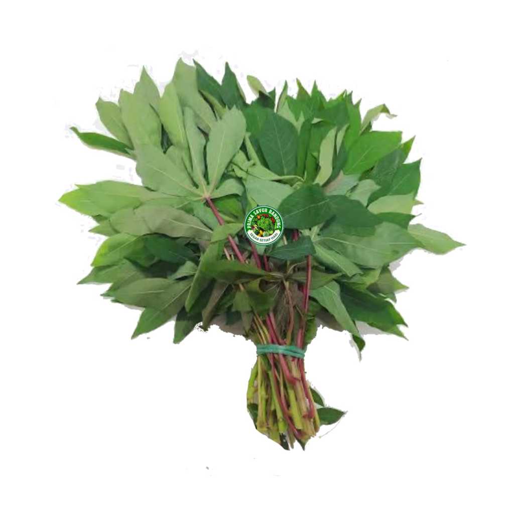 Jual PRIMA - Sayur Daun Singkong Hijau Segar Cassava Leaves Sayur Fresh ...