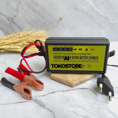 Jual Adaptor Charger Cas Isi Ulang Daya Baterai Batre Aki Accu Mobil ...