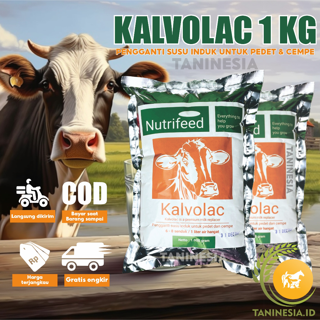 Jual SUSU KAMBING KALVOLAC ORIGINAL NUTRIFEED SUSU PENGGANTI INDUK SAPI ...