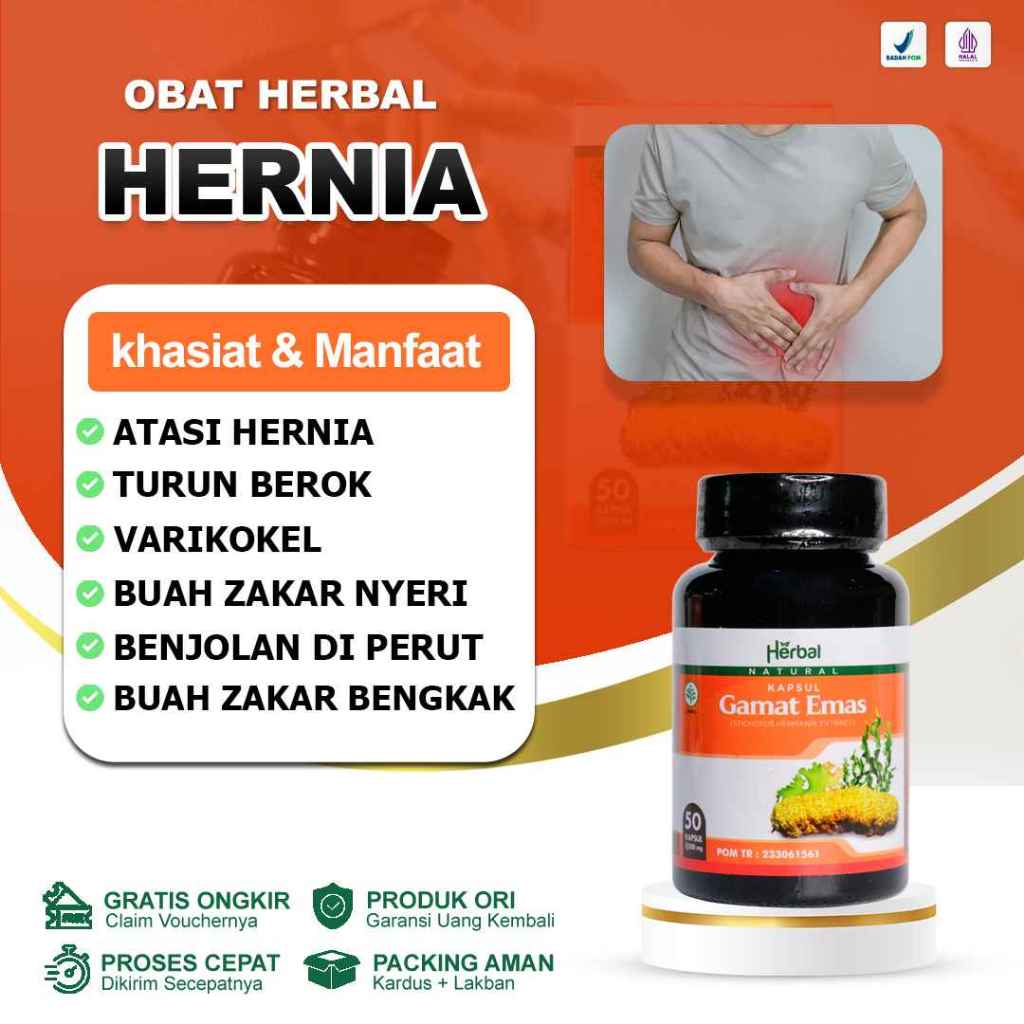 Jual Obat Hernia Benjolan Buah Zakar Bengkak Turun Berok Bero Varikokel ...