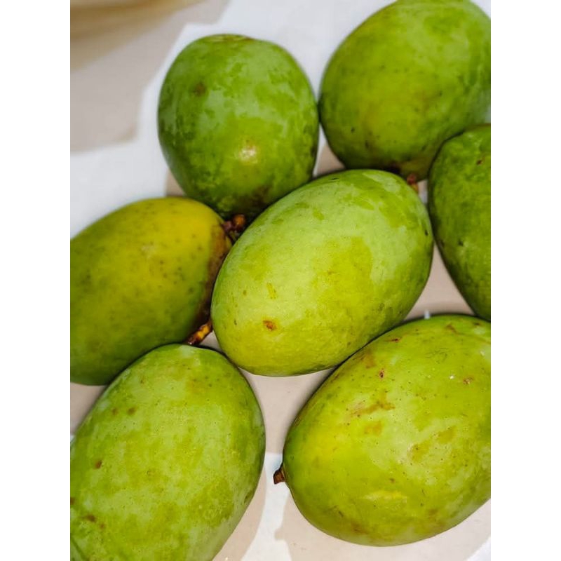Jual Mangga Kueni Kweni Mangga bembem 1kg | Shopee Indonesia